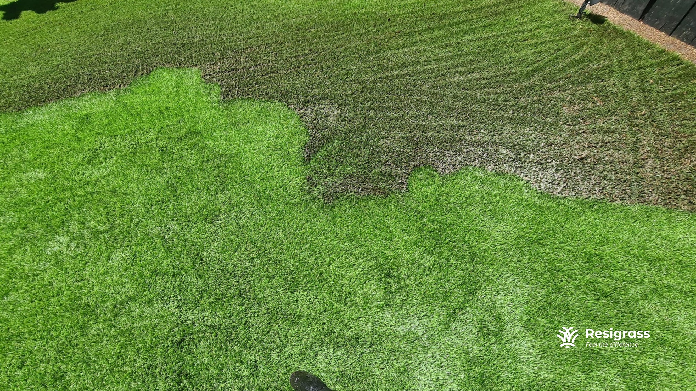 Mousse dans le gazon artificiel : comment l'enlever facilement?